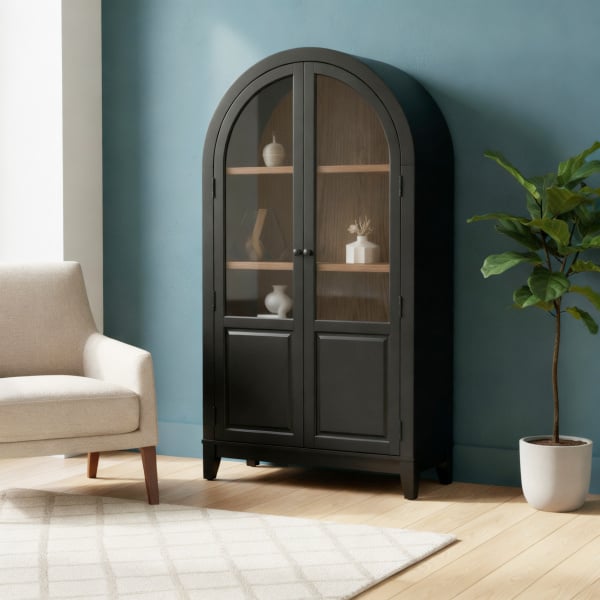 Dagandale Accent Cabinet with Arched Glass Door, Stylish Storage ...