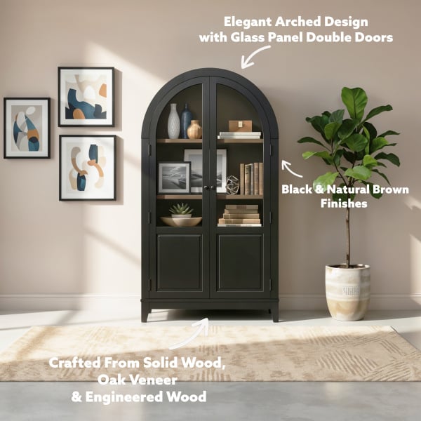 Dagandale Accent Cabinet with Arched Glass Door, Stylish Storage ...